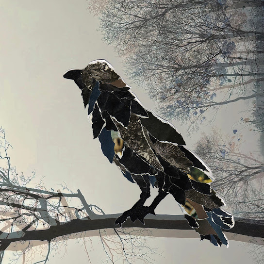 The Crow by Anna Justen (Single, Singer-Songwriter): Reviews, Ratings ...