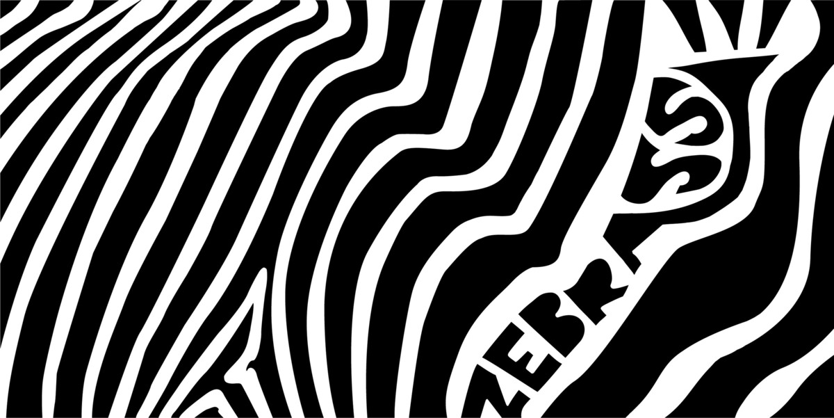 Zebrass by The Zebra Street Band (Album): Reviews, Ratings, Credits ...