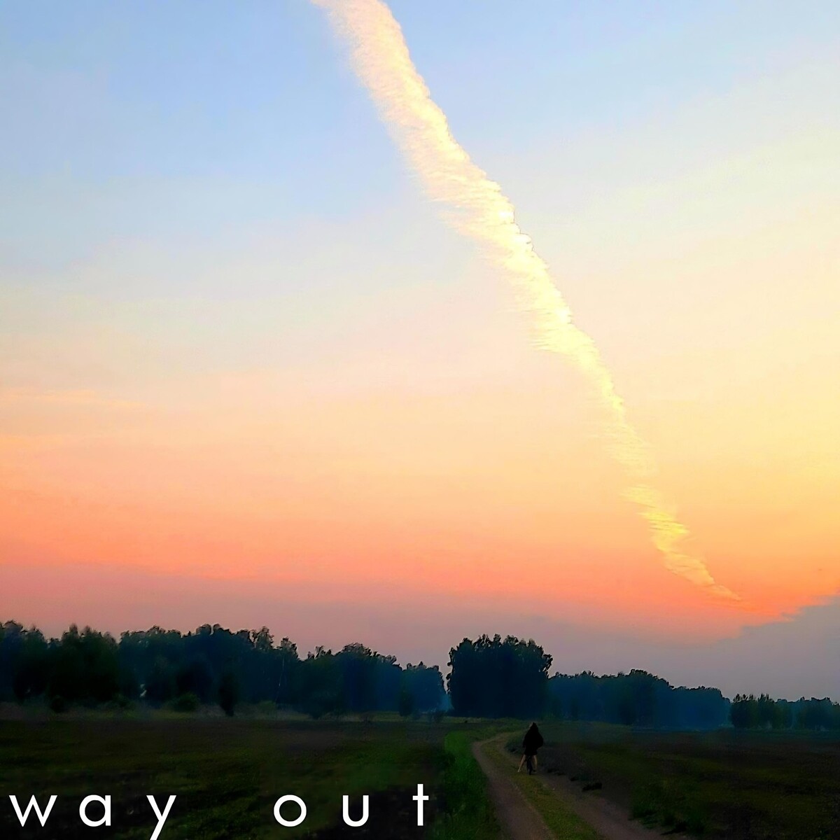 Way Out Albums: songs, discography, biography, and listening guide ...