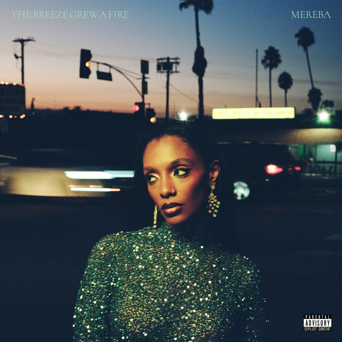 The Breeze Grew a Fire by Mereba (Album, Alternative R&B): Reviews ...