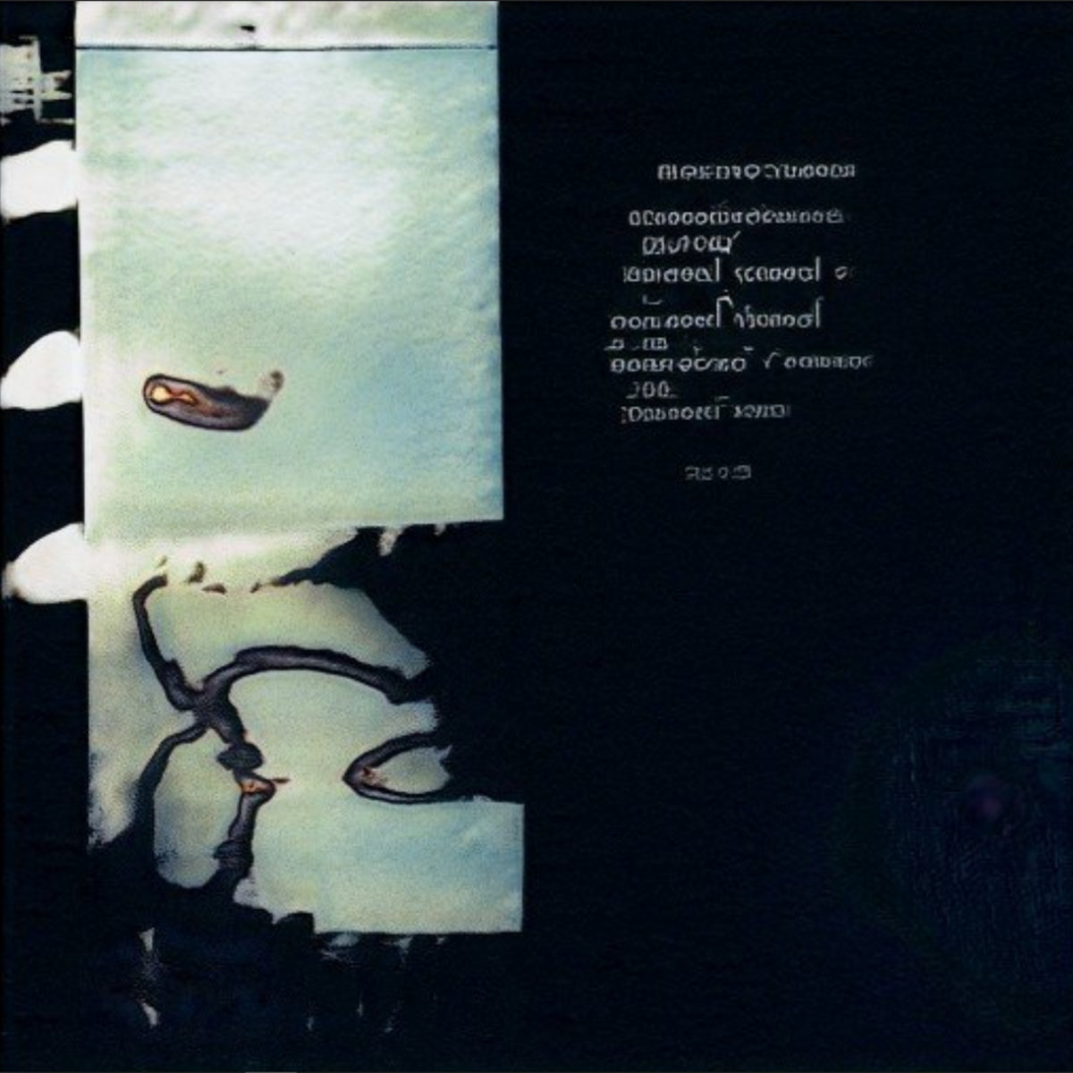 The Lord of Fools by Ockle (Single): Reviews, Ratings, Credits, Song ...