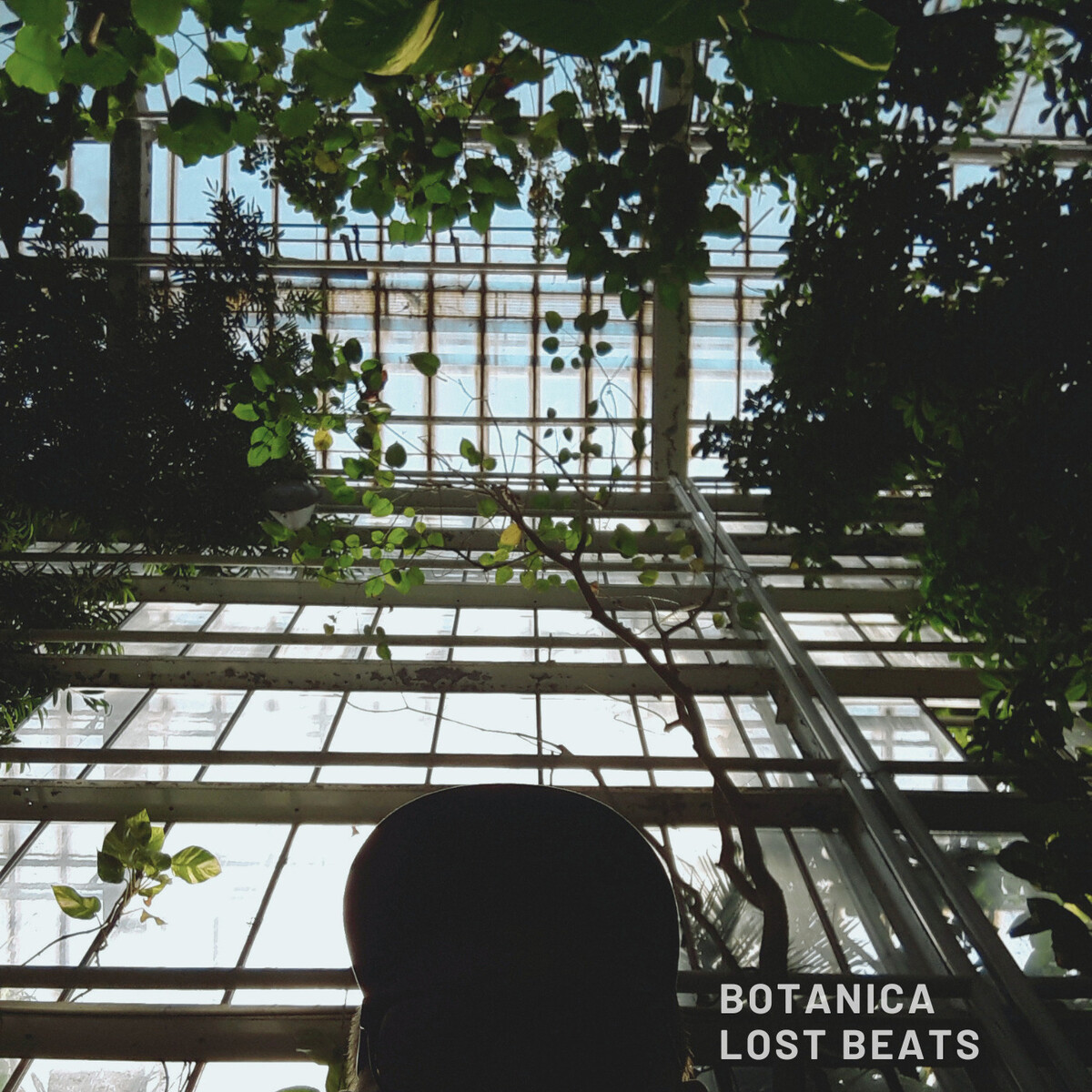 Lost Beats by Botanica (Album, Ambient House): Reviews, Ratings ...