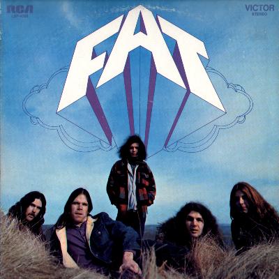 Fat Albums: songs, discography, biography, and listening guide - Rate ...