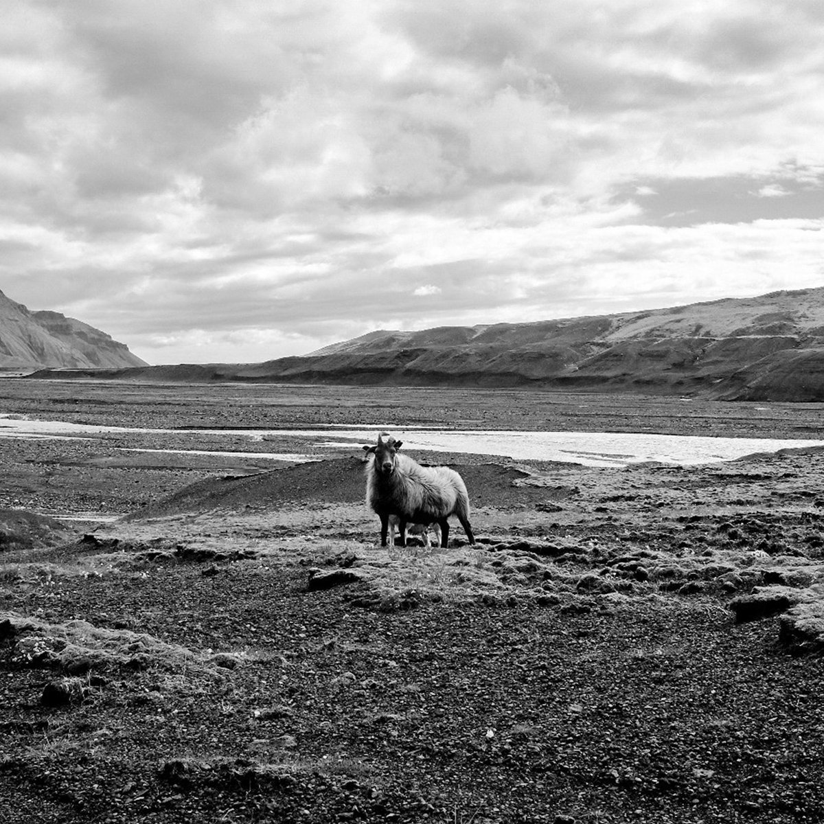 Dream Sequence by Mind Groove (Album): Reviews, Ratings, Credits, Song ...