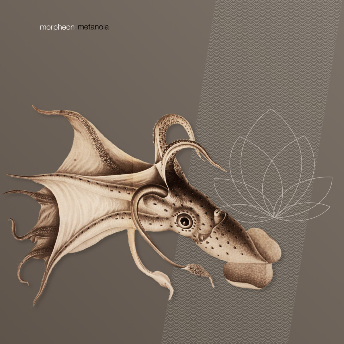 Metanoia by Morpheon (Album): Reviews, Ratings, Credits, Song list ...