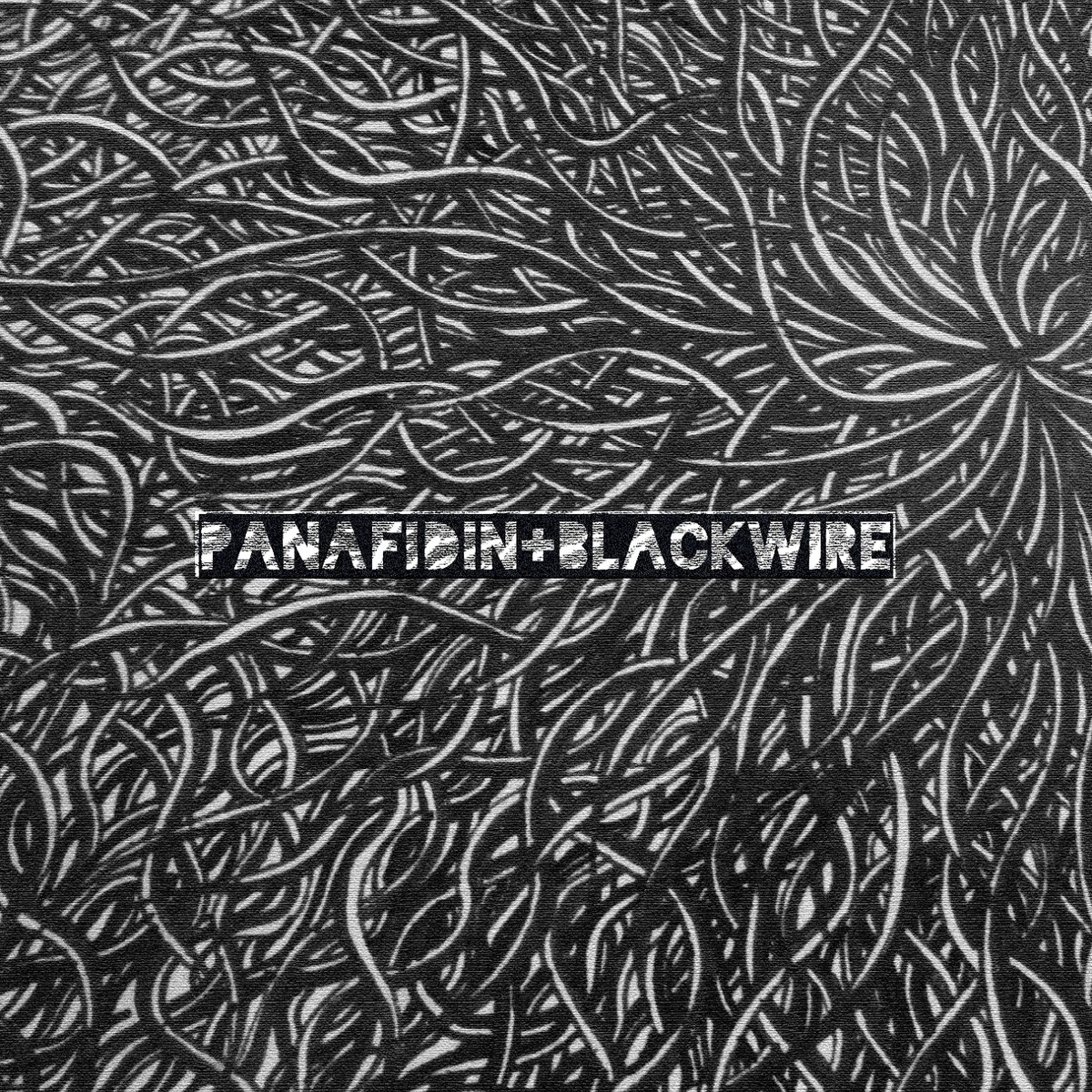 Blackwire by Panafidin (Album): Reviews, Ratings, Credits, Song list ...
