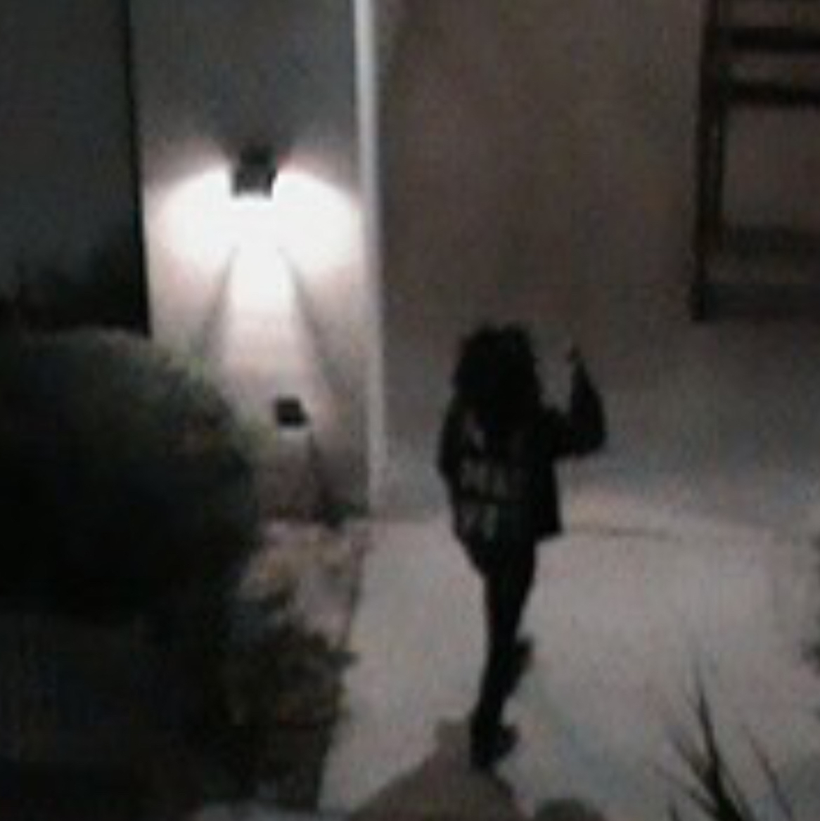 Fully by Kxlibri (Album, Dark Plugg): Reviews, Ratings, Credits, Song ...