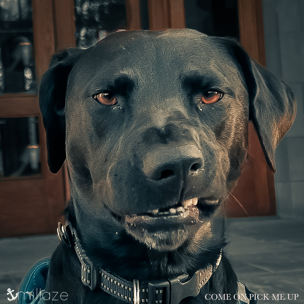 Millaze Albums: songs, discography, biography, and listening guide ...