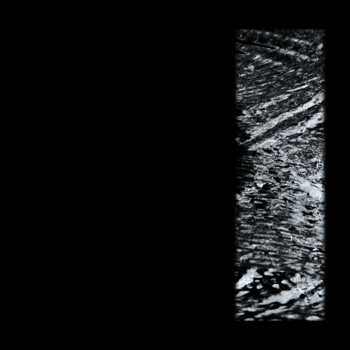 Baltic Rain by rookas & Undveld (EP): Reviews, Ratings, Credits, Song ...