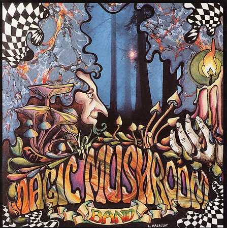 Re-Hash by The Magic Mushroom Band (Album, Acid Techno): Reviews ...