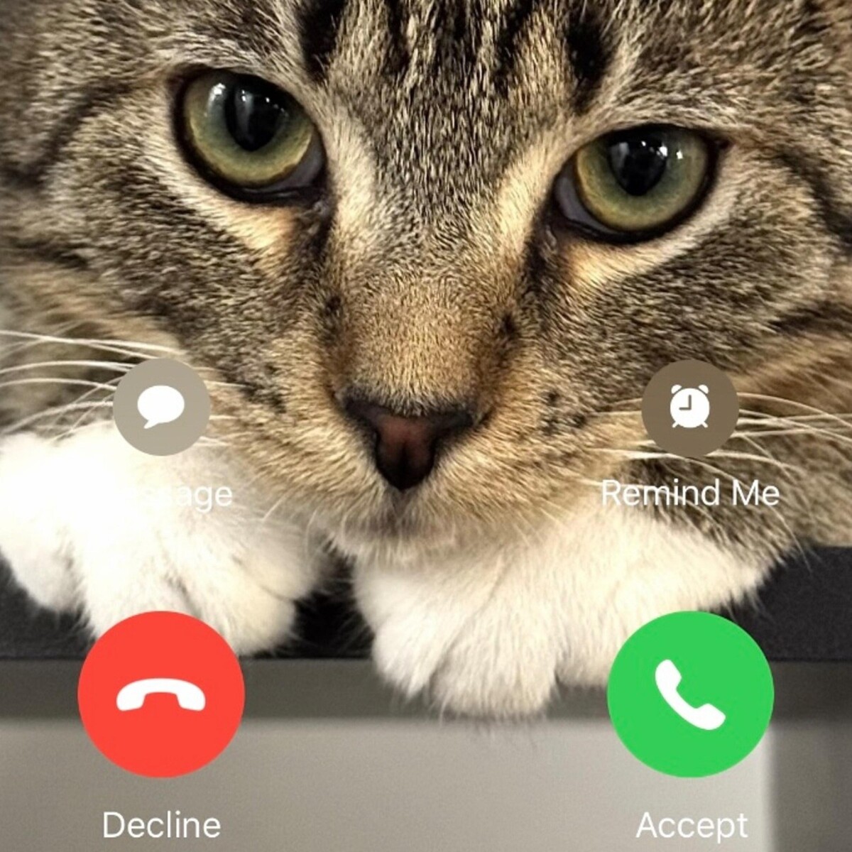 think about it by Unreal (Single): Reviews, Ratings, Credits, Song list ...