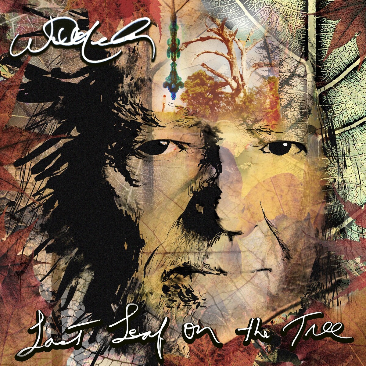 Lists with Last Leaf on the Tree by Willie Nelson (Album, Country) - Rate Your Music