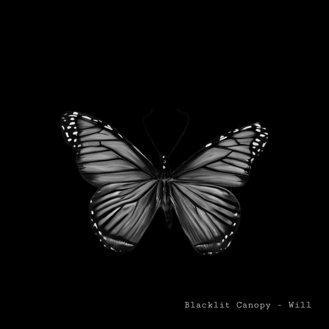 Will by Blacklit Canopy (Single): Reviews, Ratings, Credits, Song list ...