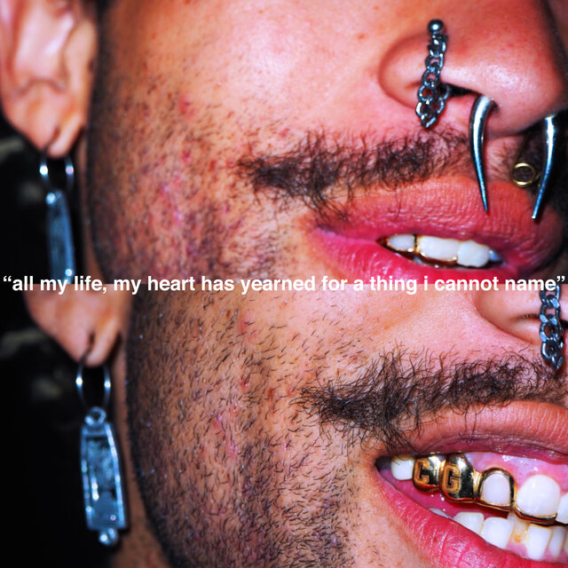 All My Life, My Heart Has Yearned For A Thing I Cannot Name by Cold ...