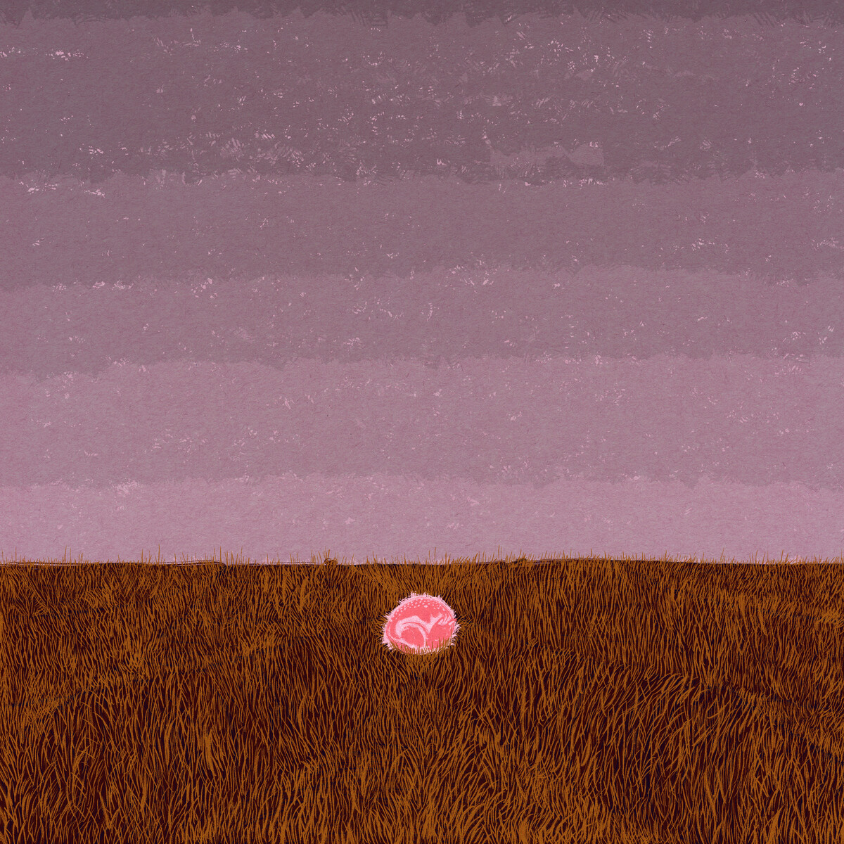 Foxtails Albums: songs, discography, biography, and listening guide ...