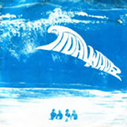 Tidal Waves Albums: songs, discography, biography, and listening guide ...