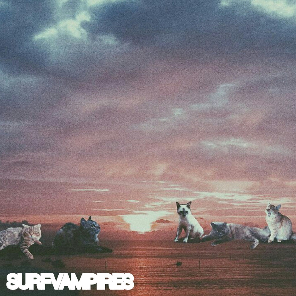 Surf Vampires Albums: songs, discography, biography, and listening ...