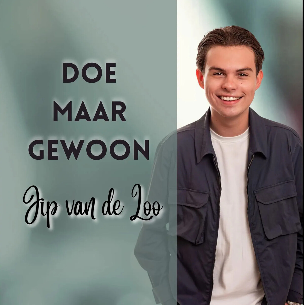 Jip van de Loo Albums: songs, discography, biography, and listening guide - Rate Your Music