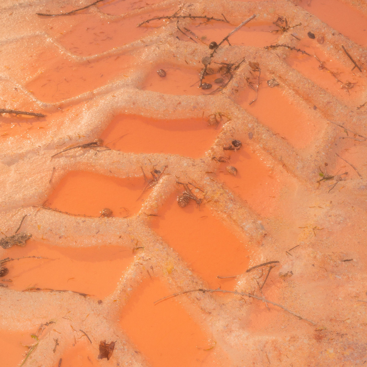 Ike Albums: songs, discography, biography, and listening guide - Rate ...