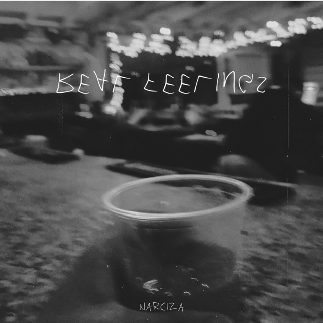 Narciza Albums: songs, discography, biography, and listening guide ...