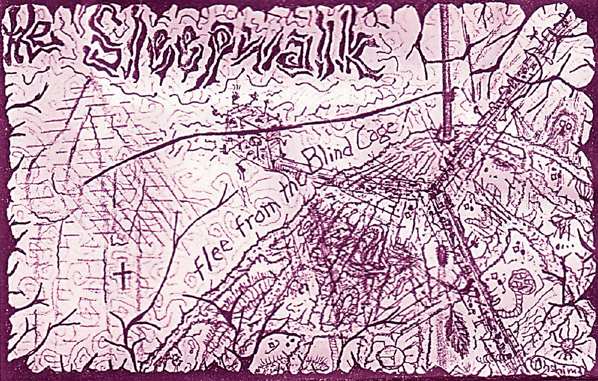flee from the Blind Cage!! by The Sleepwalk (Additional release ...