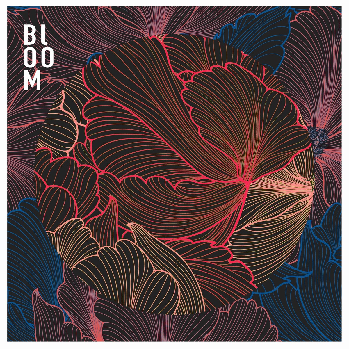 Bloom by Shubh Saran & Hannah Sumner (Single): Reviews, Ratings ...