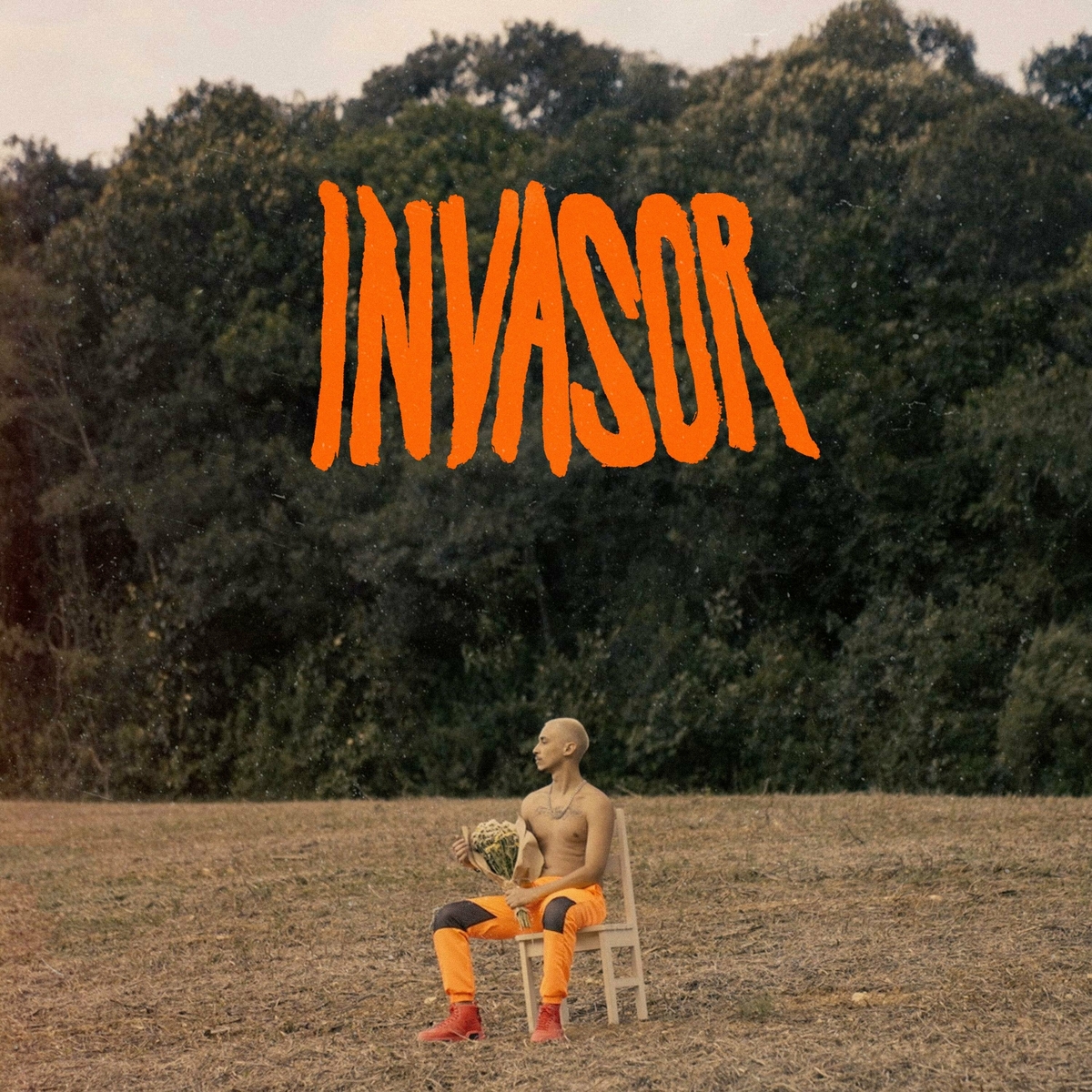 Invasor by Rodrigo Zin (Album): Reviews, Ratings, Credits, Song list ...