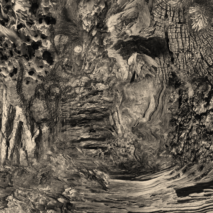 Waste Albums: songs, discography, biography, and listening guide - Rate ...