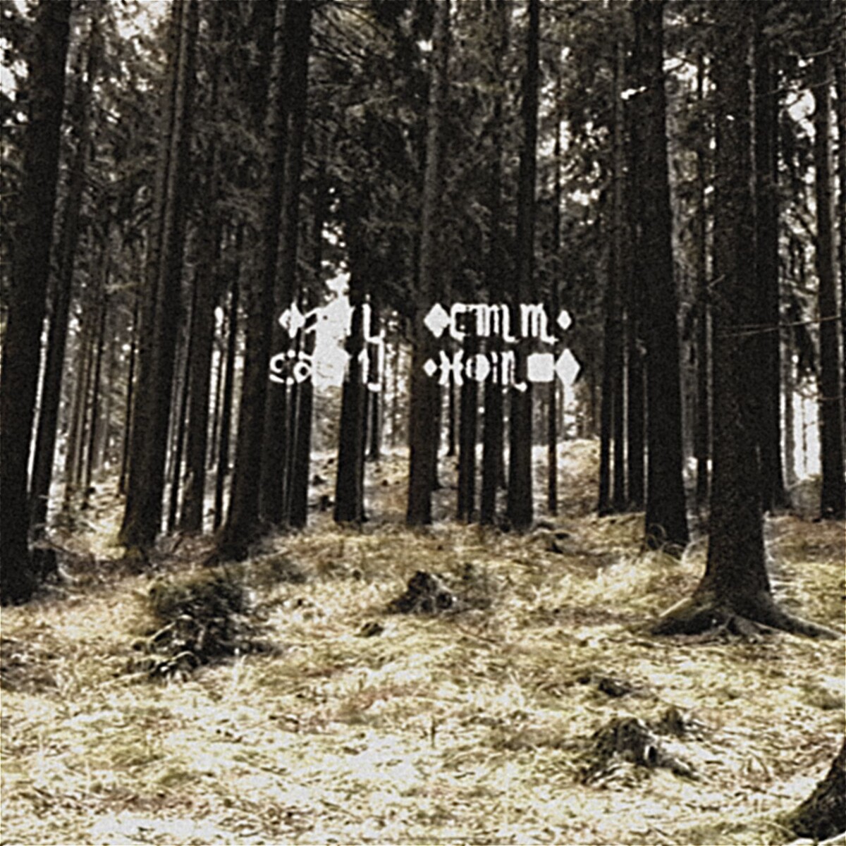 Desire Path by it grows in silence (Single): Reviews, Ratings, Credits ...