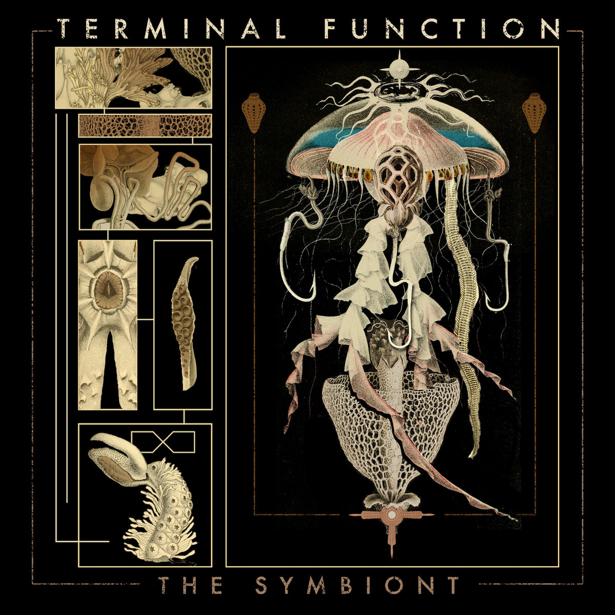 The Symbiont by Terminal Function (Album, Technical Death Metal ...