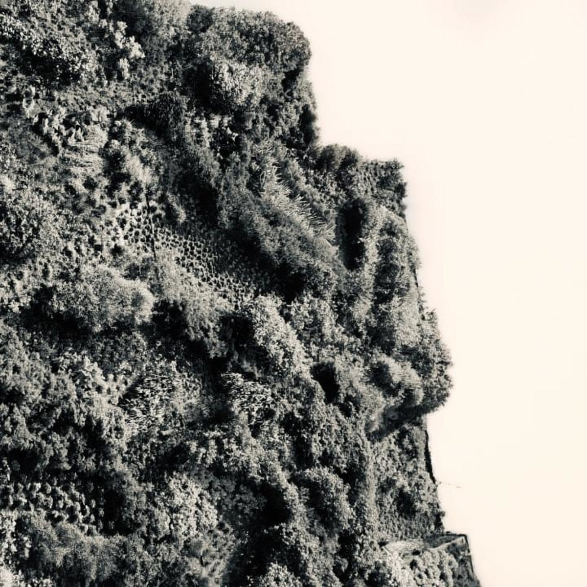 Erro e Volto by Taco de Golfe (EP, Math Rock): Reviews, Ratings ...