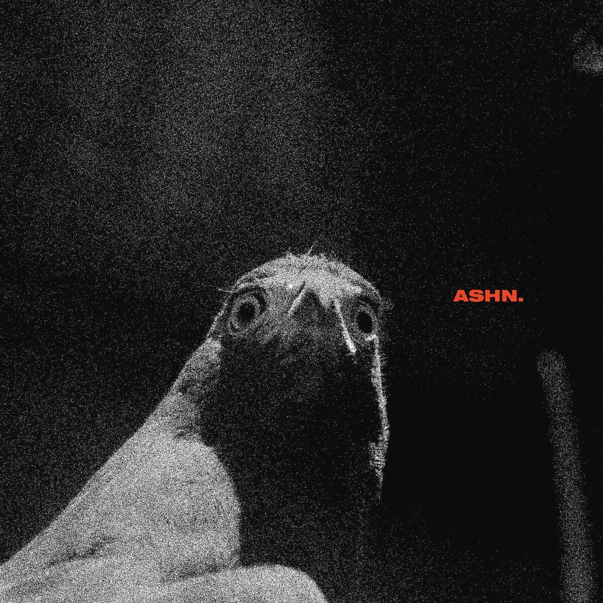 ASHN by ASHN (EP): Reviews, Ratings, Credits, Song list - Rate Your Music