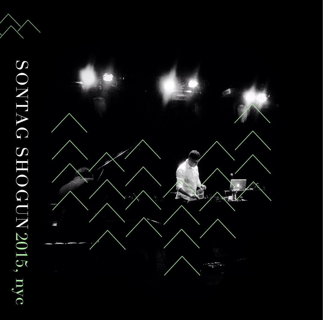 2015, NYC by Sontag Shogun (Album, Ambient): Reviews, Ratings, Credits ...