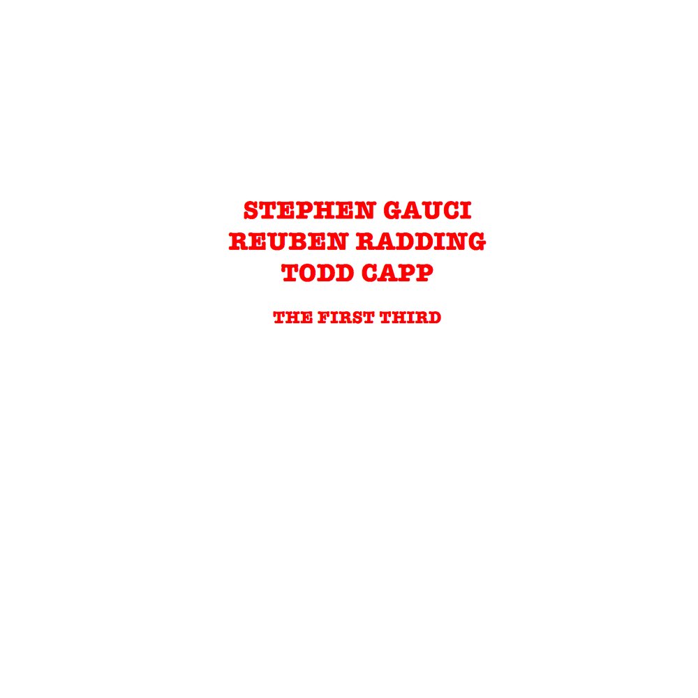 The First Third by Stephen Gauci, Reuben Radding & Todd Capp (Album ...