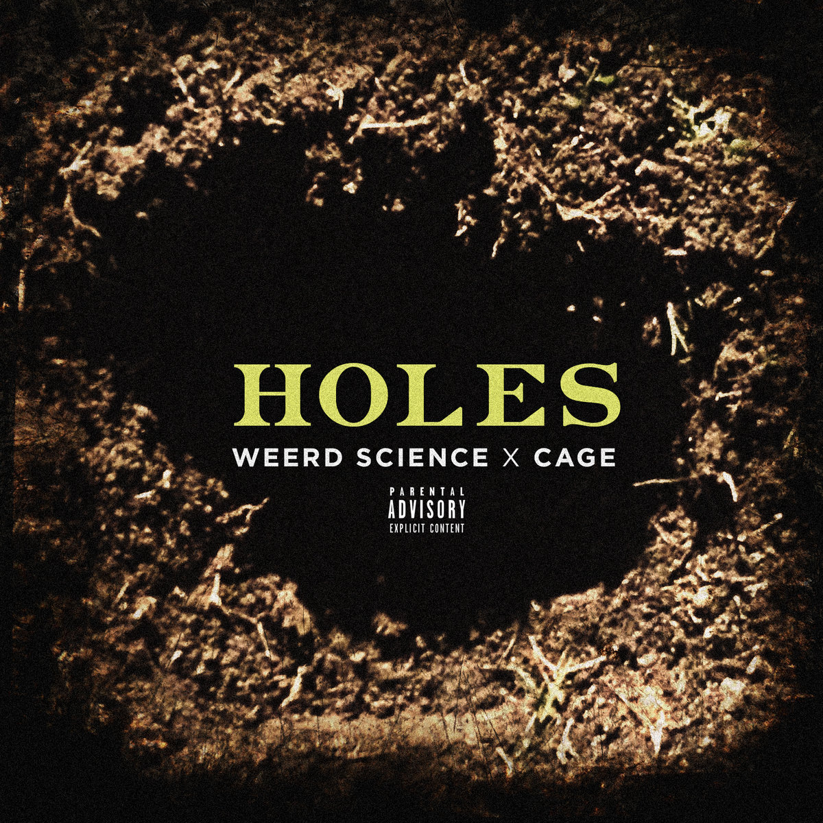Holes by Weerd Science (Single): Reviews, Ratings, Credits, Song list ...