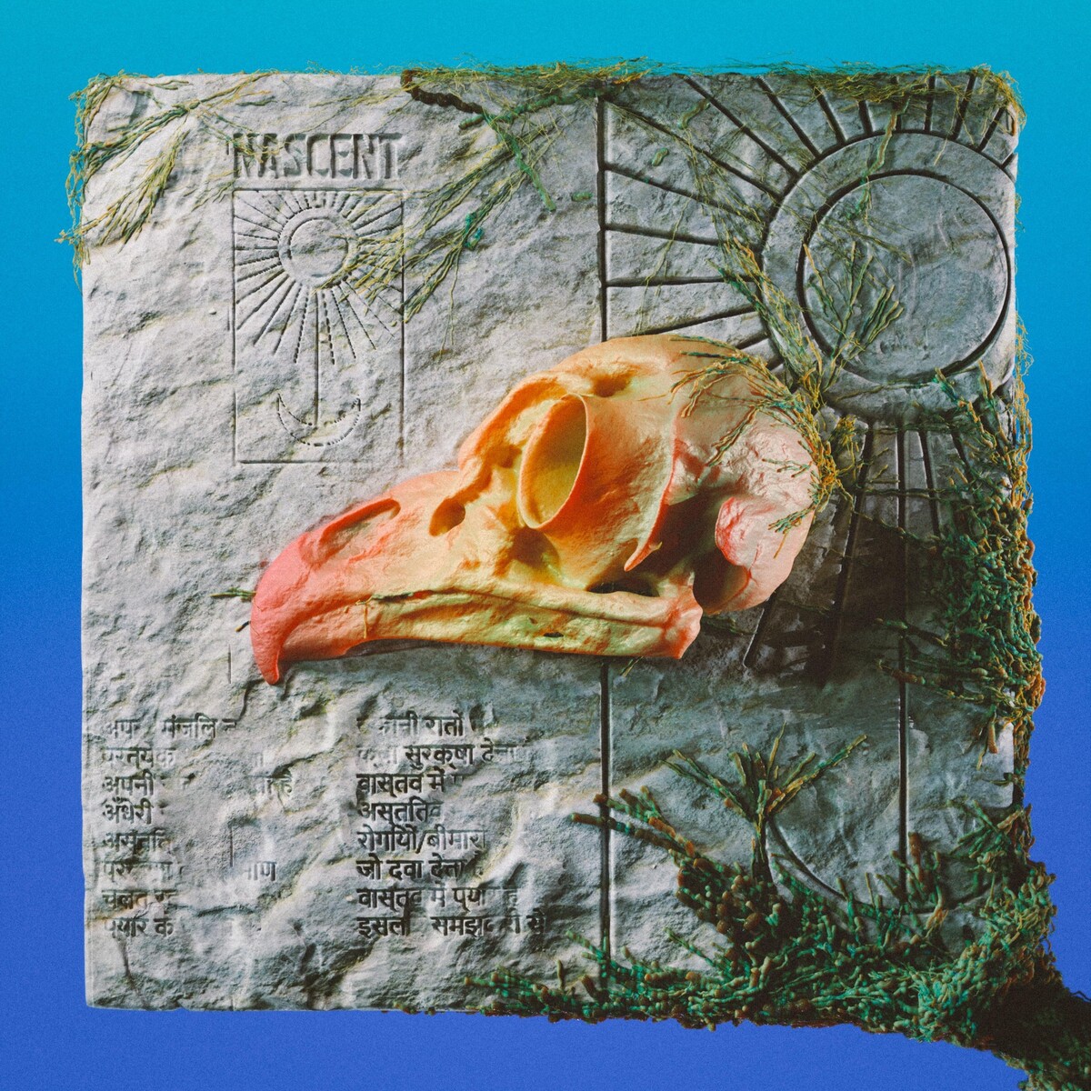 Nascent by Digital Flock (Single; n/a; n/a): Reviews, Ratings, Credits ...