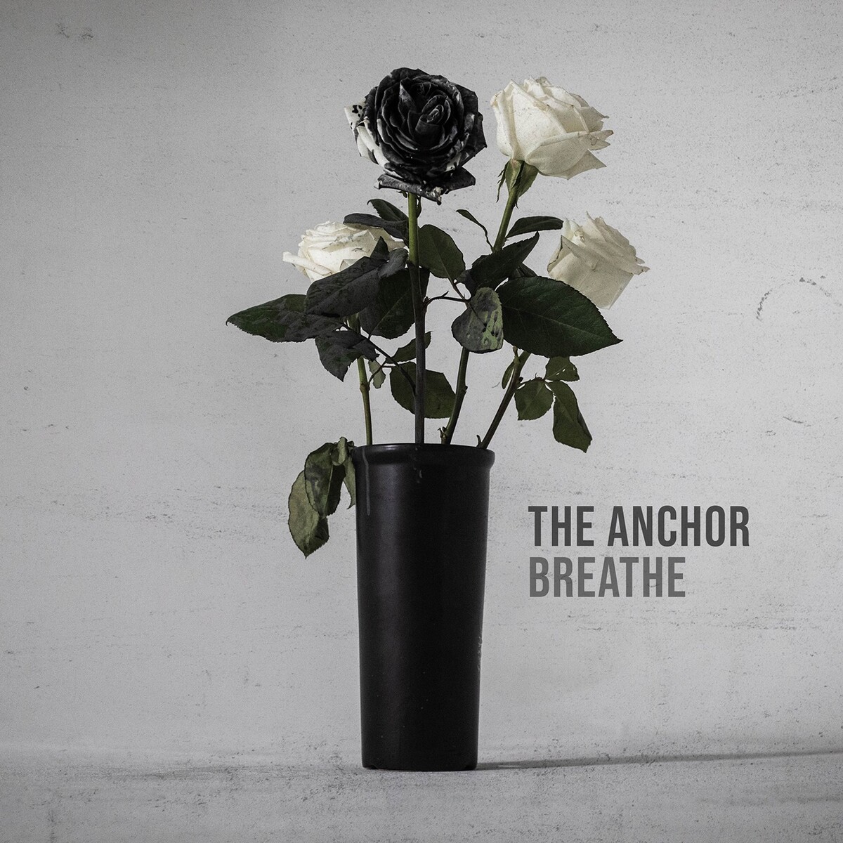 The Anchor Albums: songs, discography, biography, and listening guide ...