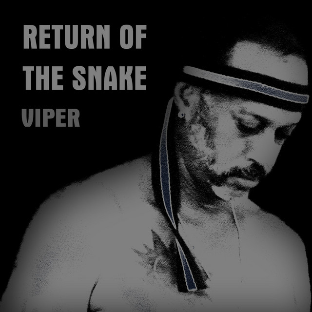 Return of the Snake by Viper (Compilation; n/a; n/a): Reviews, Ratings ...