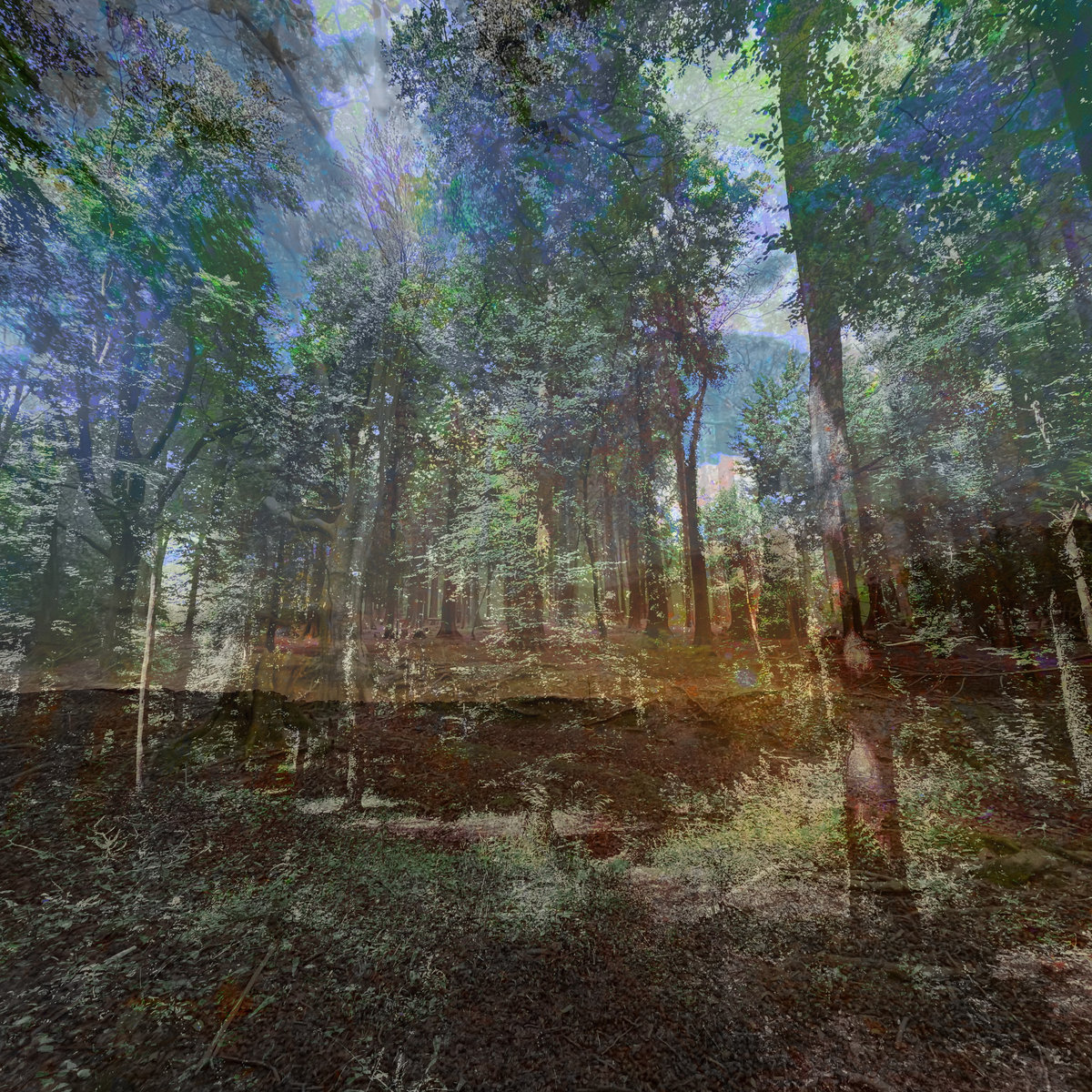 Fane Albums: songs, discography, biography, and listening guide - Rate ...