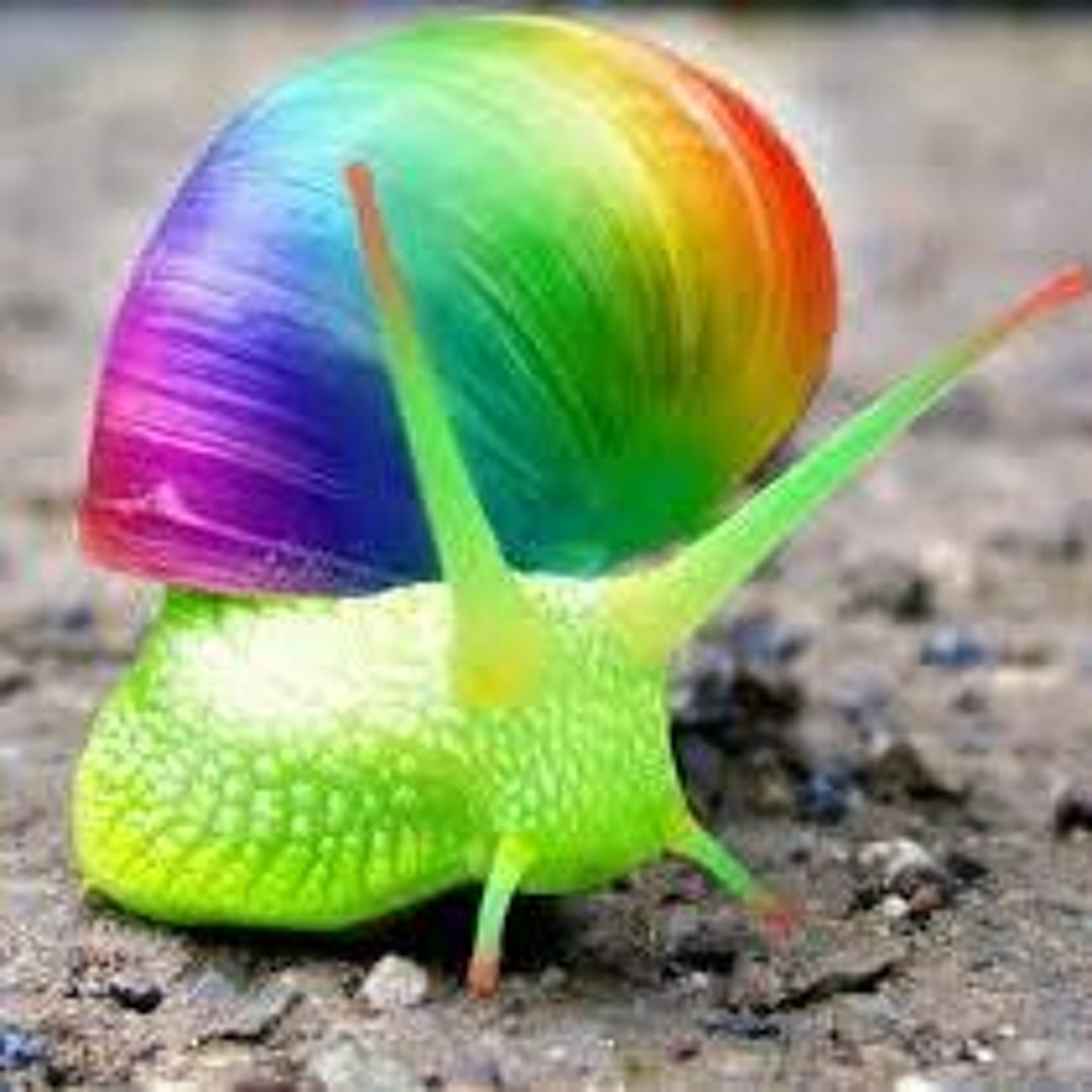 Snail Song #2 by Gezebelle Gaburgably (Single): Reviews, Ratings ...