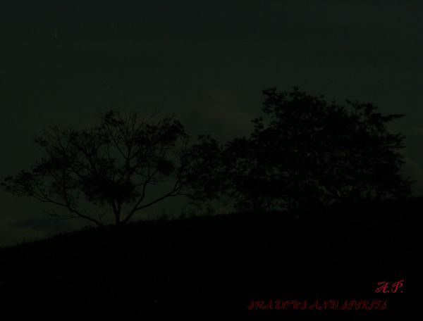 Alejandro Posada Albums: songs, discography, biography, and listening ...