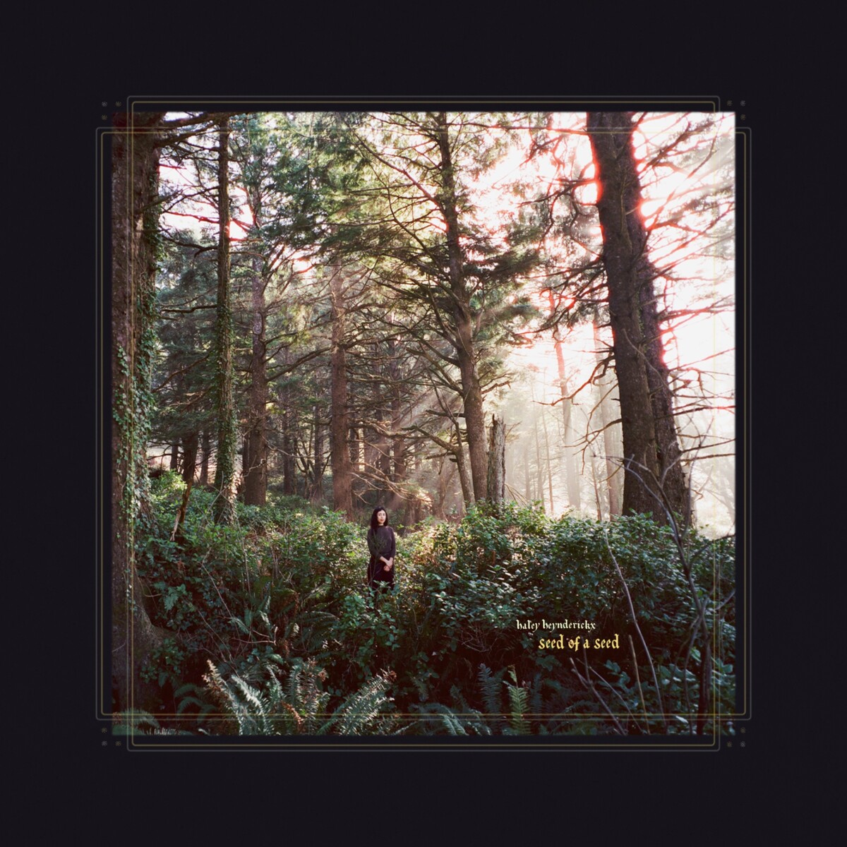 Seed of a Seed by Haley Heynderickx (Album, Singer-Songwriter): Reviews ...