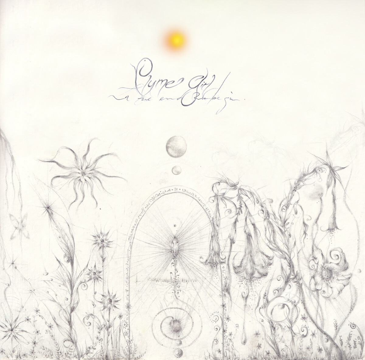 In the End We Begin by Sowmya Somanath (Album): Reviews, Ratings ...