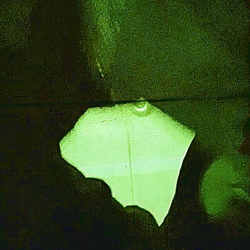 Rodneyy Albums: songs, discography, biography, and listening guide ...