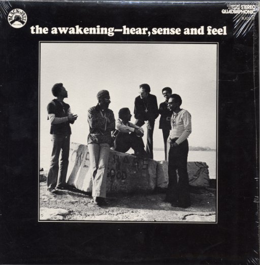 The Awakening Albums: songs, discography, biography, and listening ...