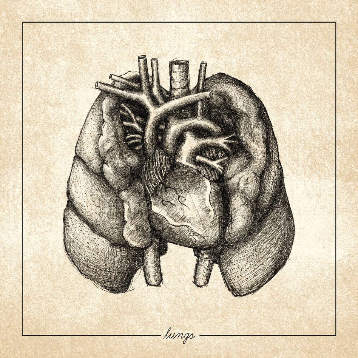 Lungs by Regrowth (Album, Melodic Hardcore): Reviews, Ratings, Credits ...