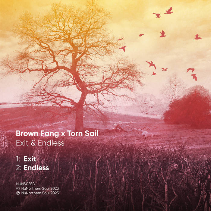 Exit & Endless by Brown Fang & Torn Sail (Single): Reviews, Ratings ...