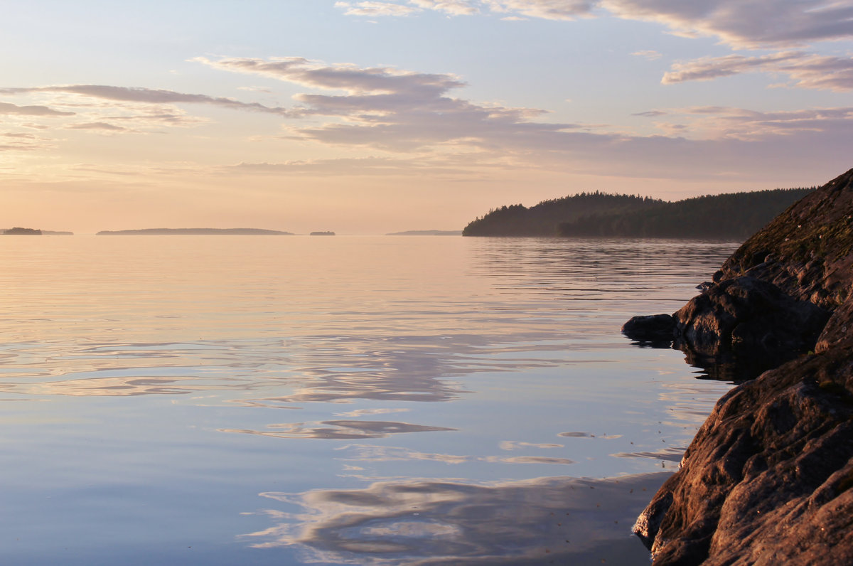 Rebirth by Dhamika (Album): Reviews, Ratings, Credits, Song list - Rate ...