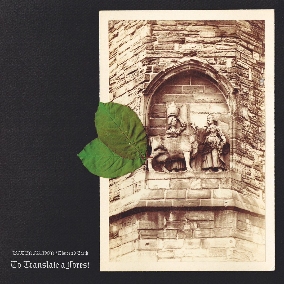 Distorted Earth Albums: songs, discography, biography, and listening ...