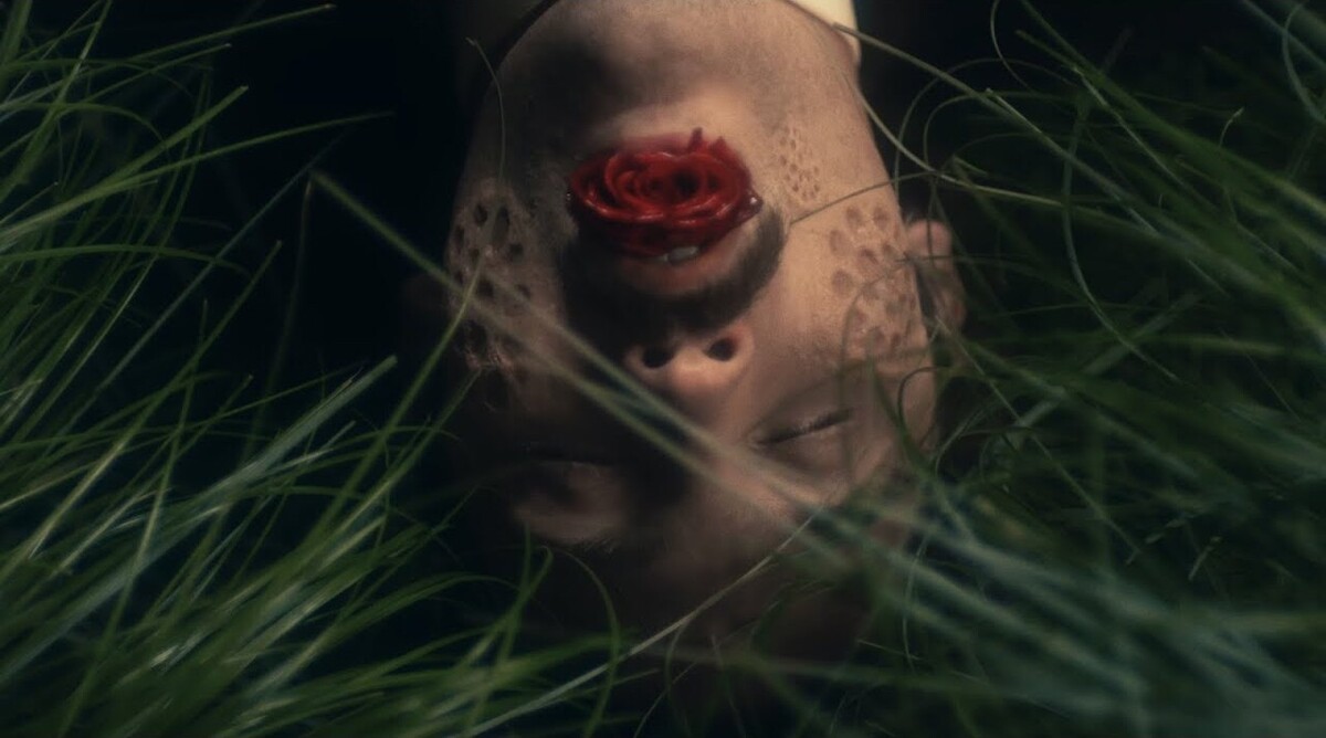 Brighten by Jerry Cantrell (Music video): Reviews, Ratings, Credits ...